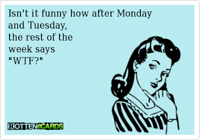 Moments of Introspection: Rotten eCard of the Week #81: W.T.F