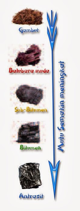 Jenis dan Berbagai Kualitas Batubara | Menyediakan dan Jual Batubara ...