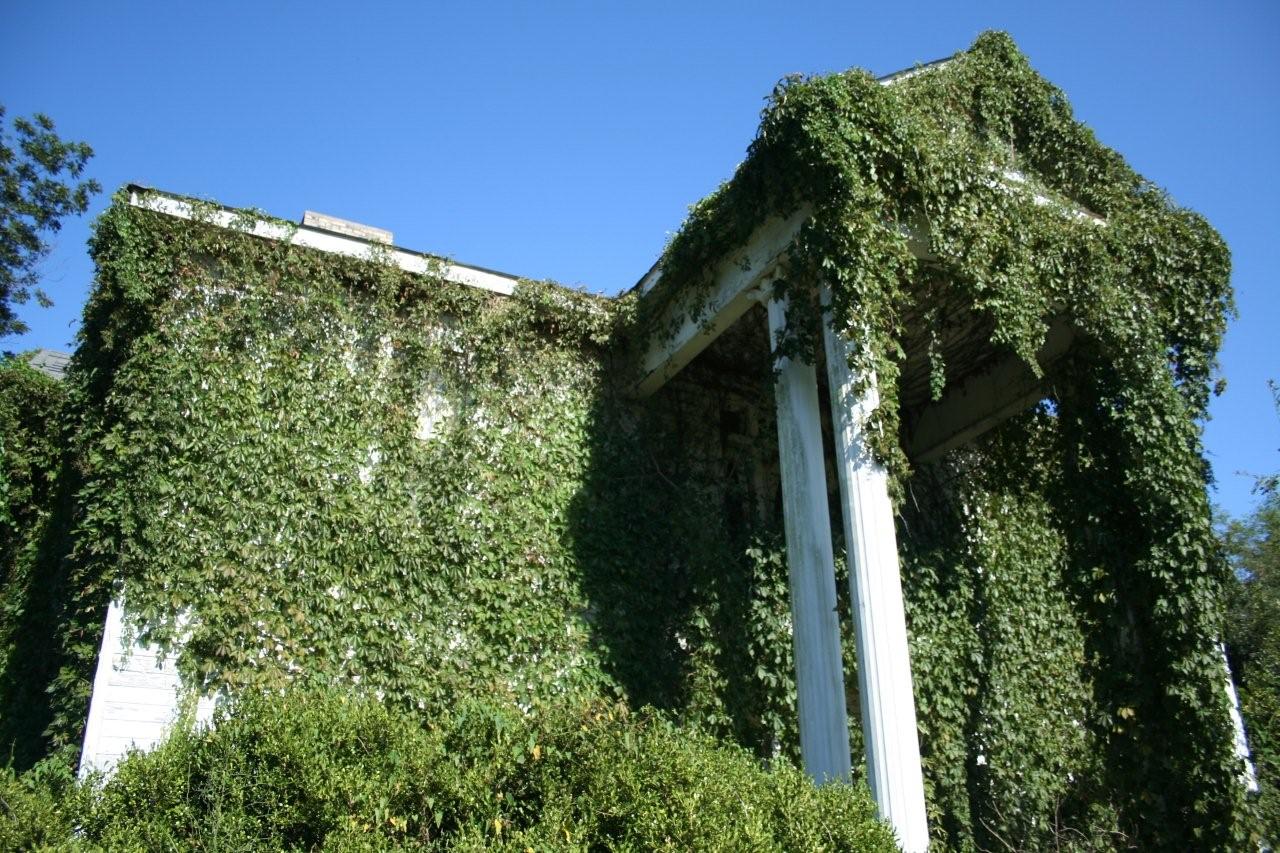 Poho County Line: ROSEWOOD LANE makes its WORLD PREMIERE