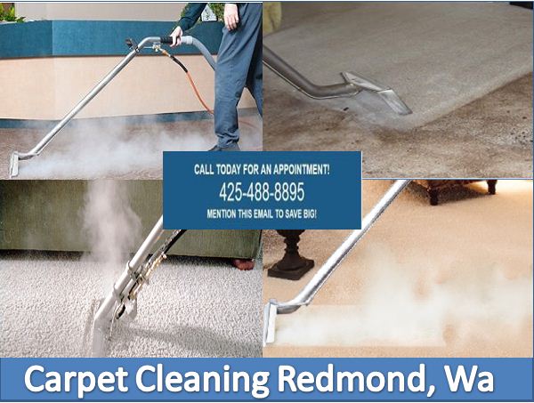 Carpet Cleaning Washington: Carpet cleaning Redmond: Why professional ...