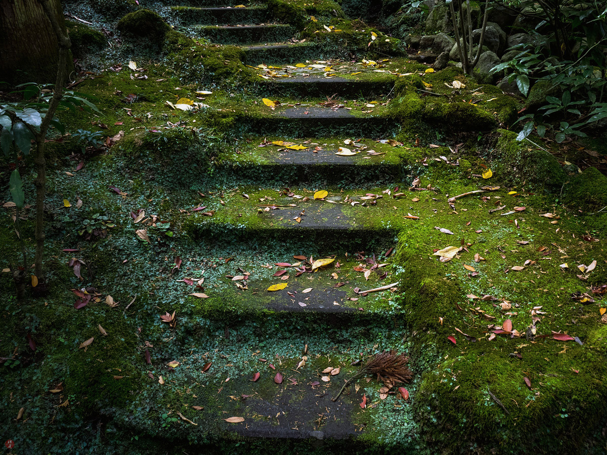 FROM THE GARDEN OF ZEN: Stone steps: Tokei-ji