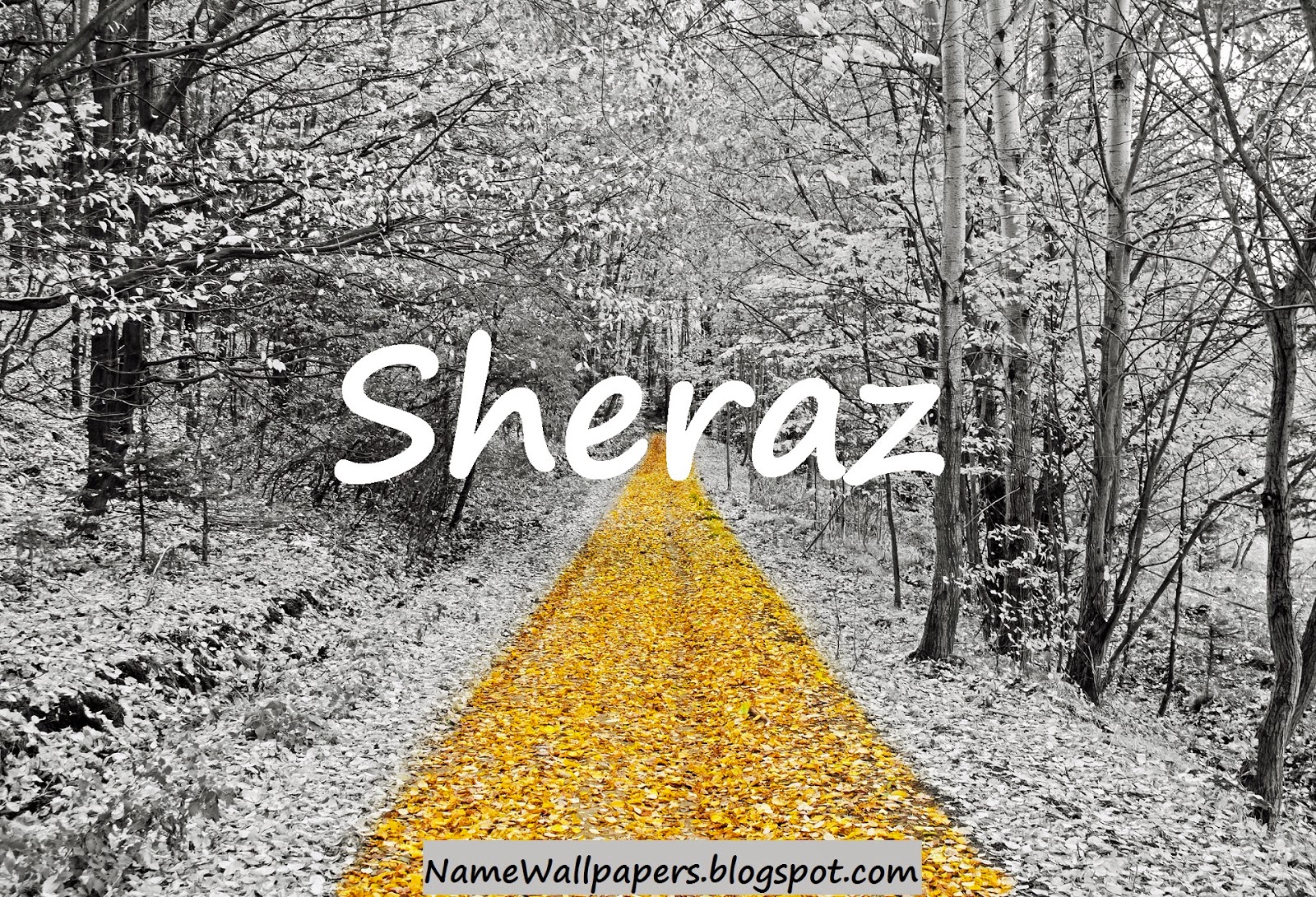 Sheraz Name Wallpapers Sheraz ~ Name Wallpaper Urdu Name Meaning Name ...