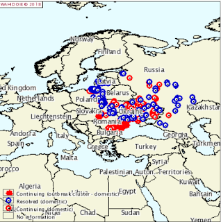 Avian Flu Diary: Bulgaria Detects 2nd Occurrence Of ASF Near Romanian ...