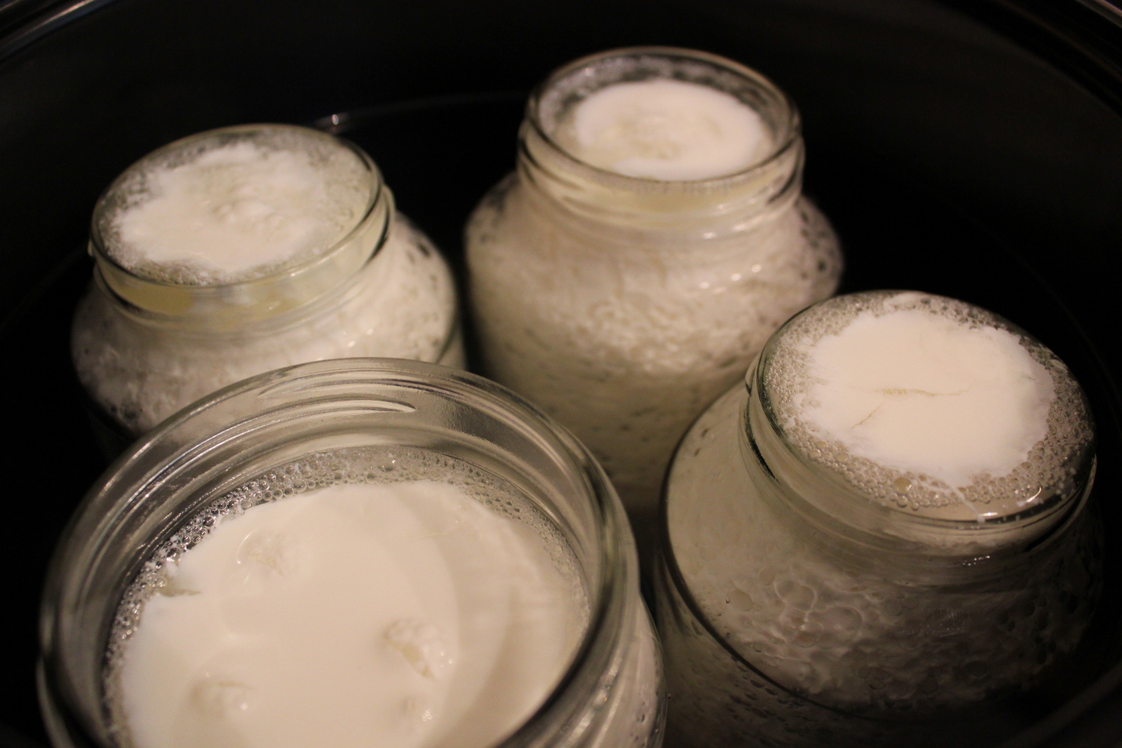 Cultural Cooking: Farmer's Cheese Recipe (Tvorog)