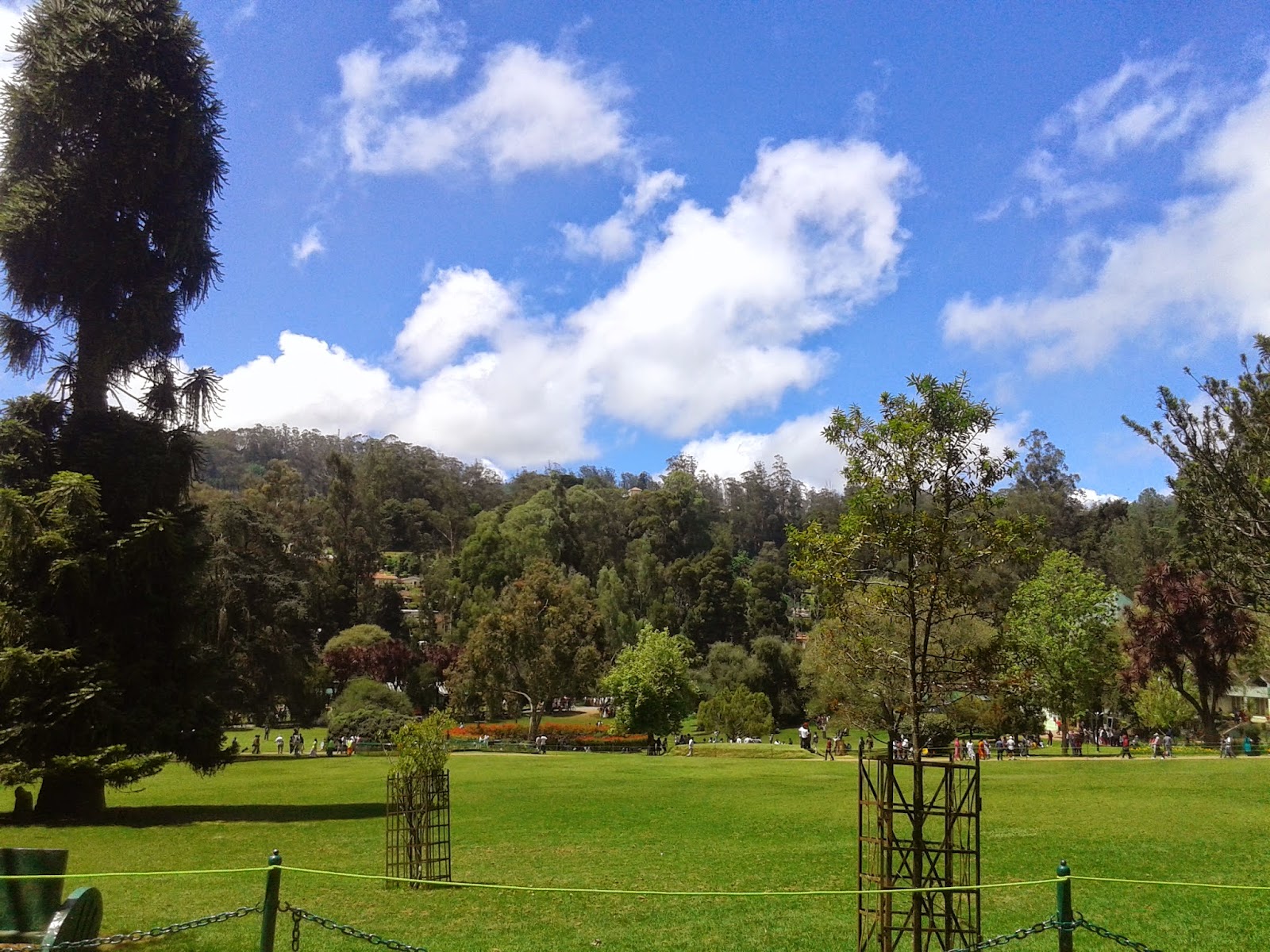 ooty park
