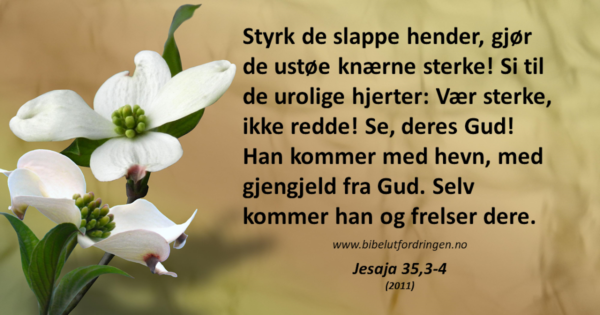 Bibelutfordringen: Jesaja 35,3-4