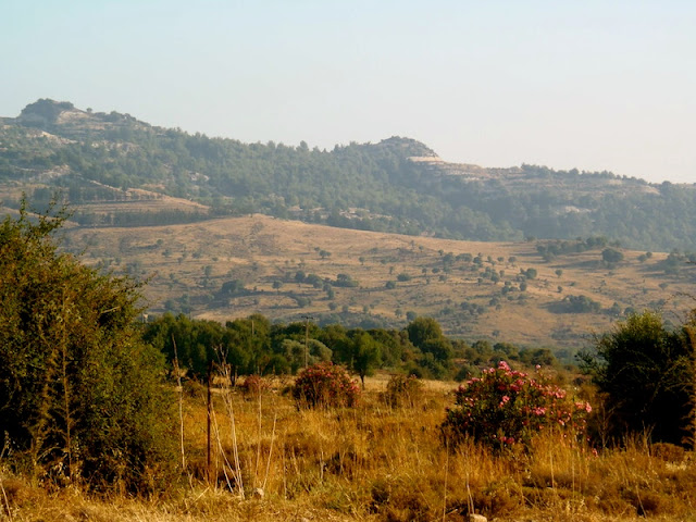Amazing Cyprus: Field in Cyprus