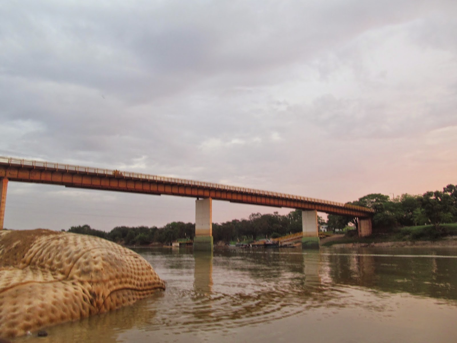 Espacio de Pesca: Pesca payara en el Rio Yucao y Manacacias, Puerto ...
