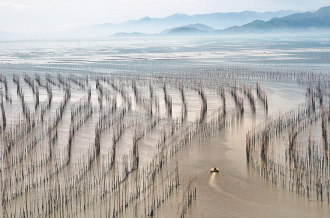 gattosandro viaggiatore - travel blog: Organizzando il terzo viaggio in ...