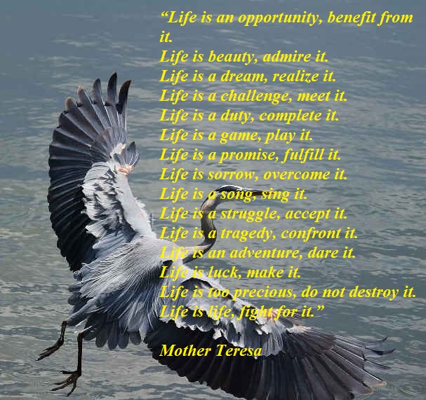 All Photos Gallery Quotations On Life Quotations About Life all-photos-gallery-quotations-on-life-quotations-about-life