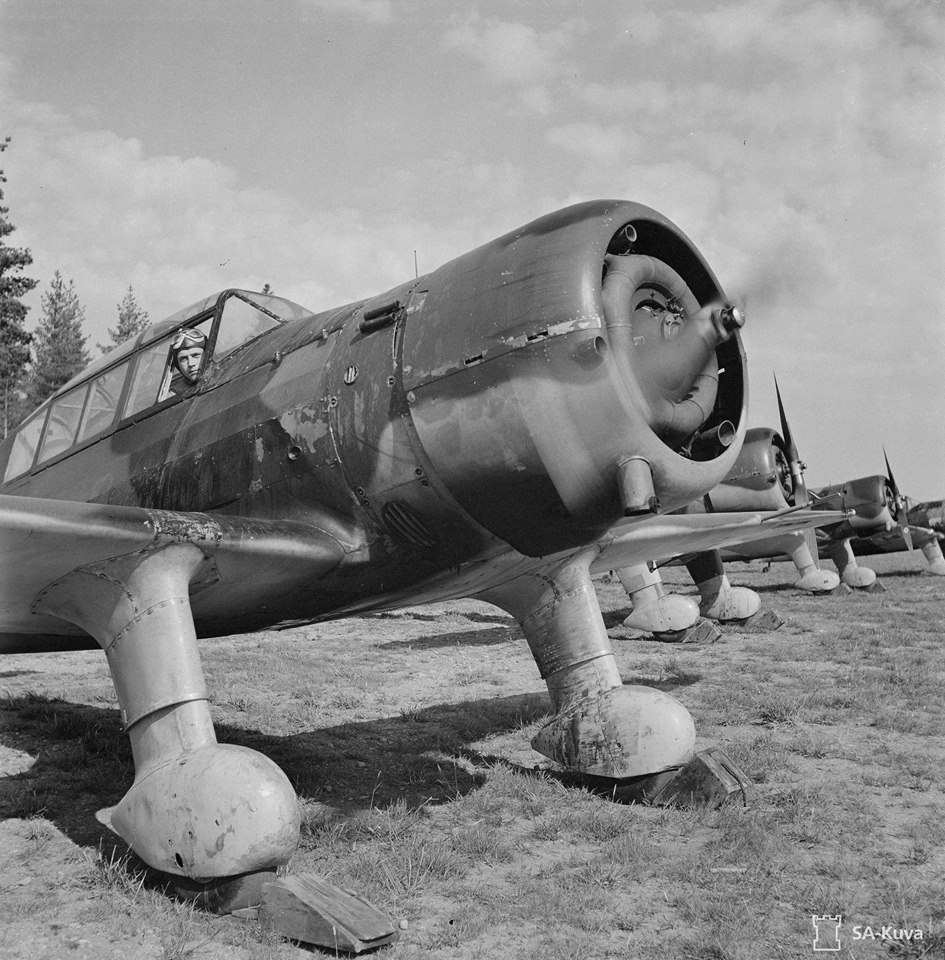 Airplanes in the skies + FAF history: VL Pyry