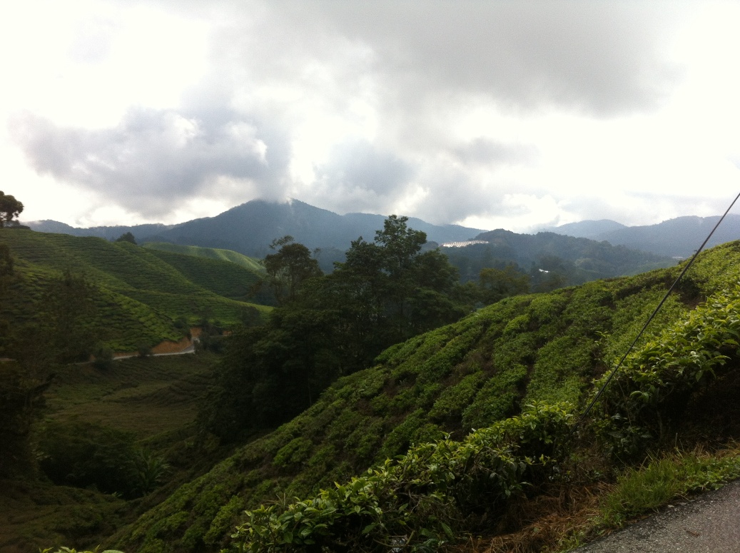 KELAB SUKAN DAN KEBAJIKAN MyIPO: PENDAKIAN GUNUNG IRAU, CAMERON ...