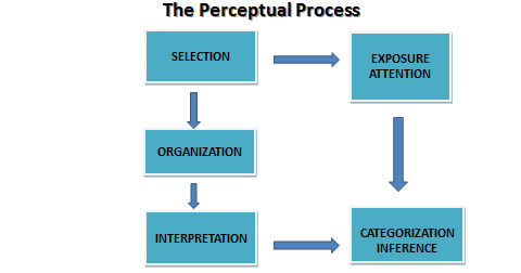 Connecting Students: Topic 5 Consumer Perception