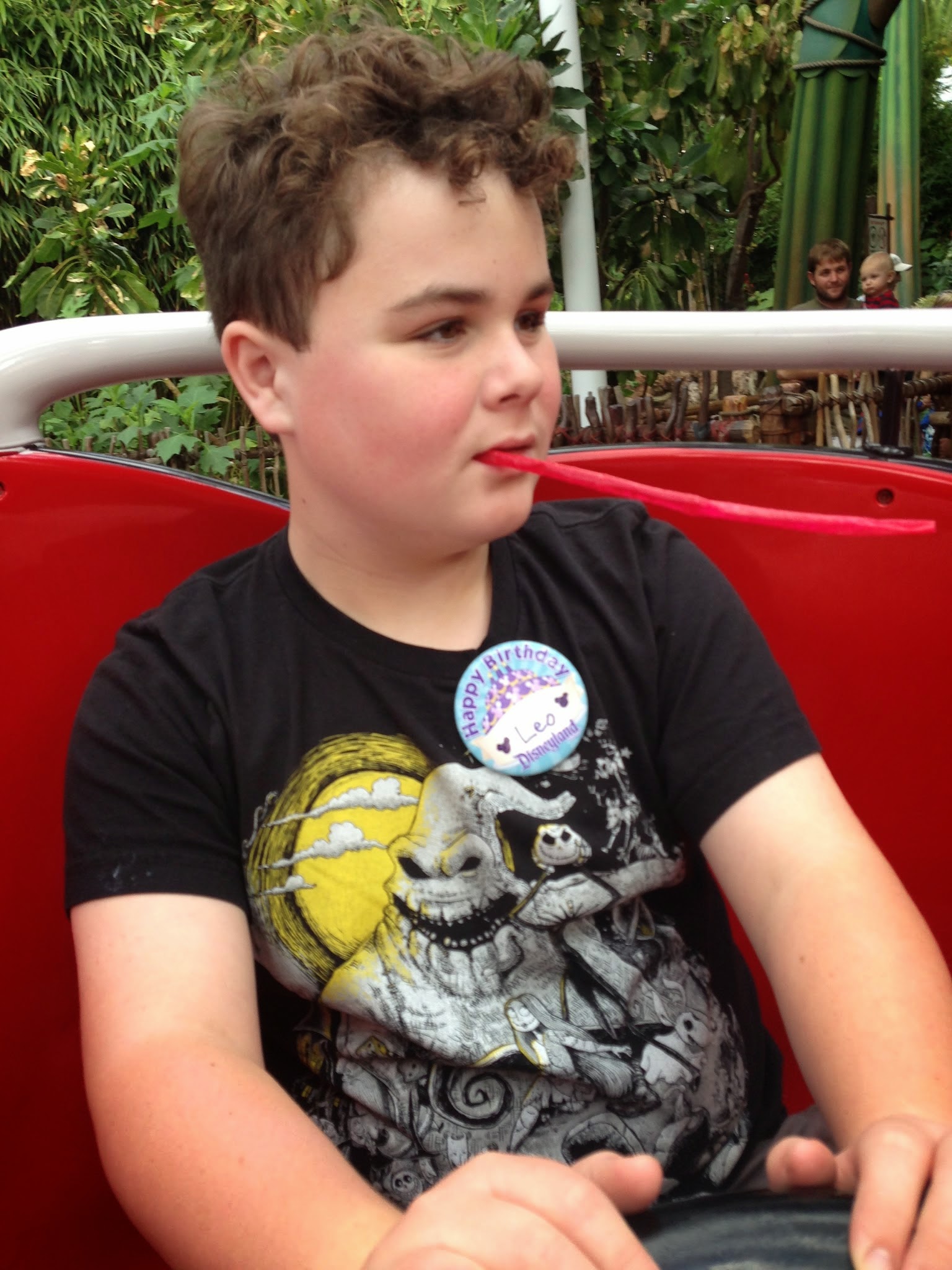 One Autistic Teen's Disneyland Success Story — THINKING PERSON'S GUIDE ...