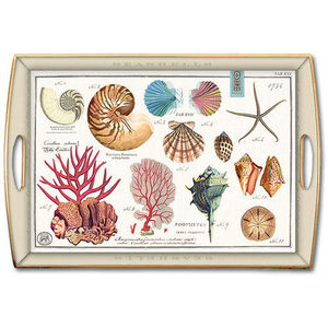 Seashells and Southern Belles: Michel Design Works