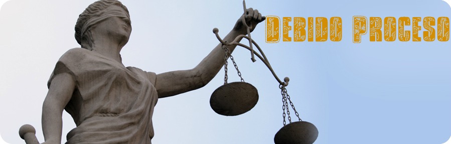 El debido proceso: ¿Cuáles son sus elementos?