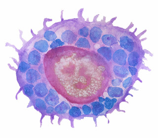 BRYAN JONES: Mast Cell Illustration