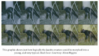 Texas Cryptid Hunter: Black Bears, Bigfoot and the Jacobs Creature