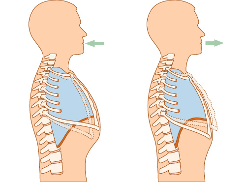 APRENDE y DISFRUTA con las CIENCIAS NATURALES: Los movimientos ...