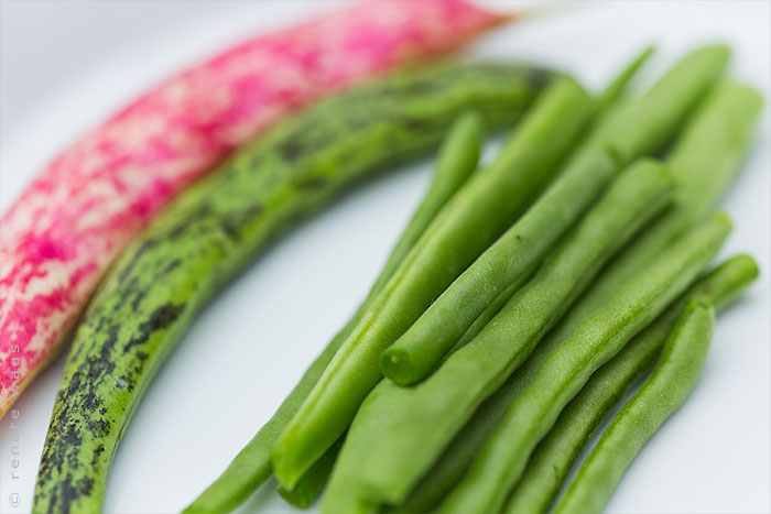 Gartenblog Geniesser-Garten : Herbst - Bohnenernte