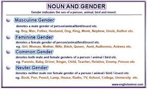 English learning: Noun: Gender