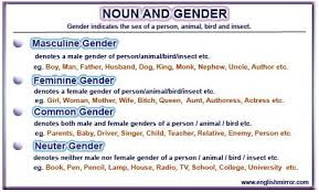 English learning: Noun: Gender