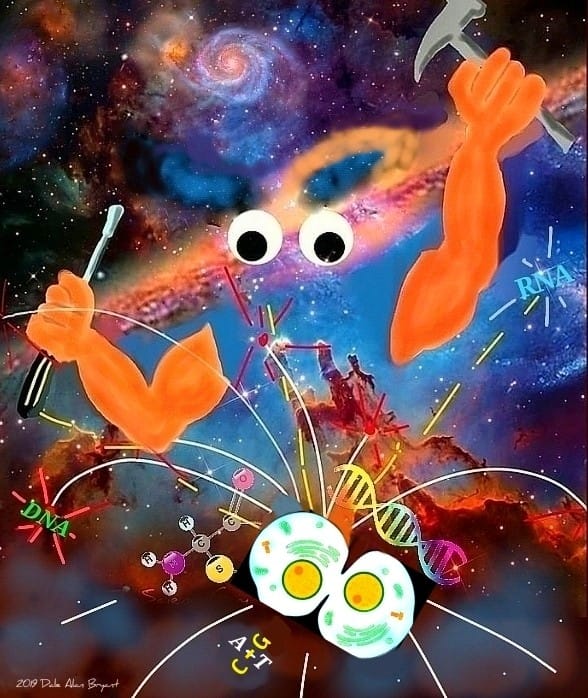 The Universe: A "Life-Building Machine"?