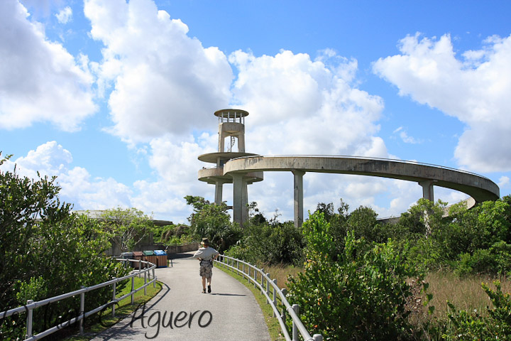 juanKaphotos: Shark Valley ( Everglades National Park )