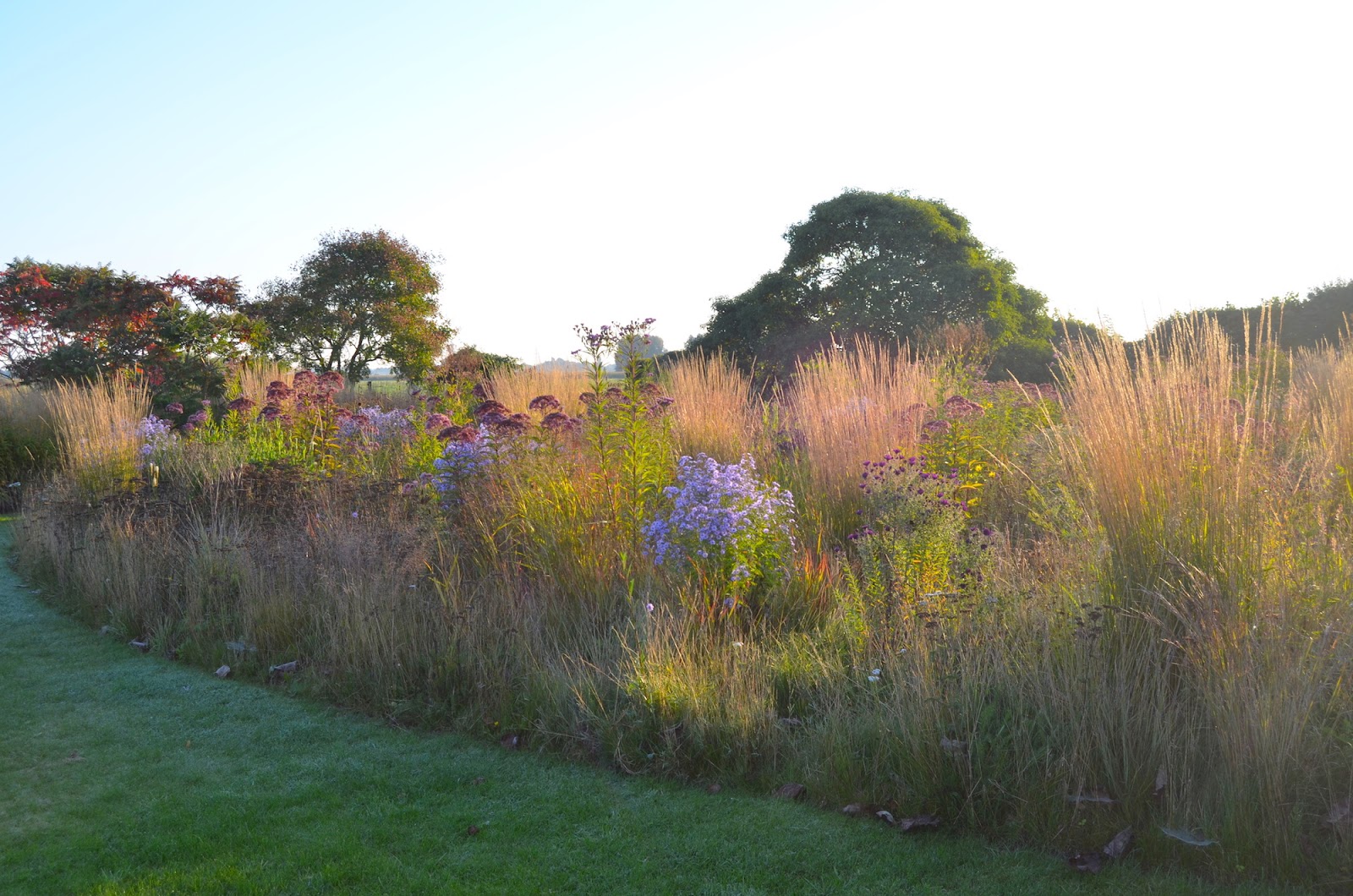 Noel's Garden Blog: Ecological Planting - The revolution will never be ...