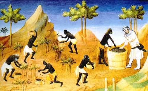 Actualidad sin mordaza: SOCIEDAD ESCLAVITUD