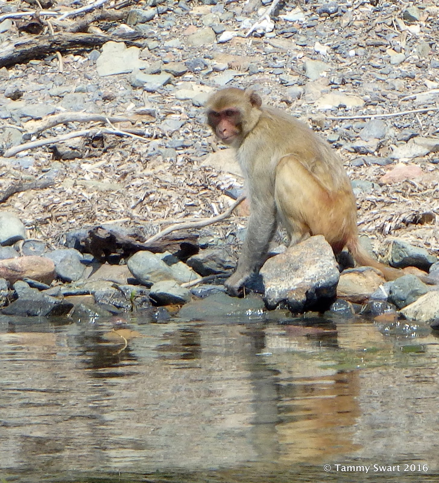 Things we did today...: Sliding Into Home