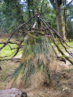 100 Wild Huts: Wild Hut 7