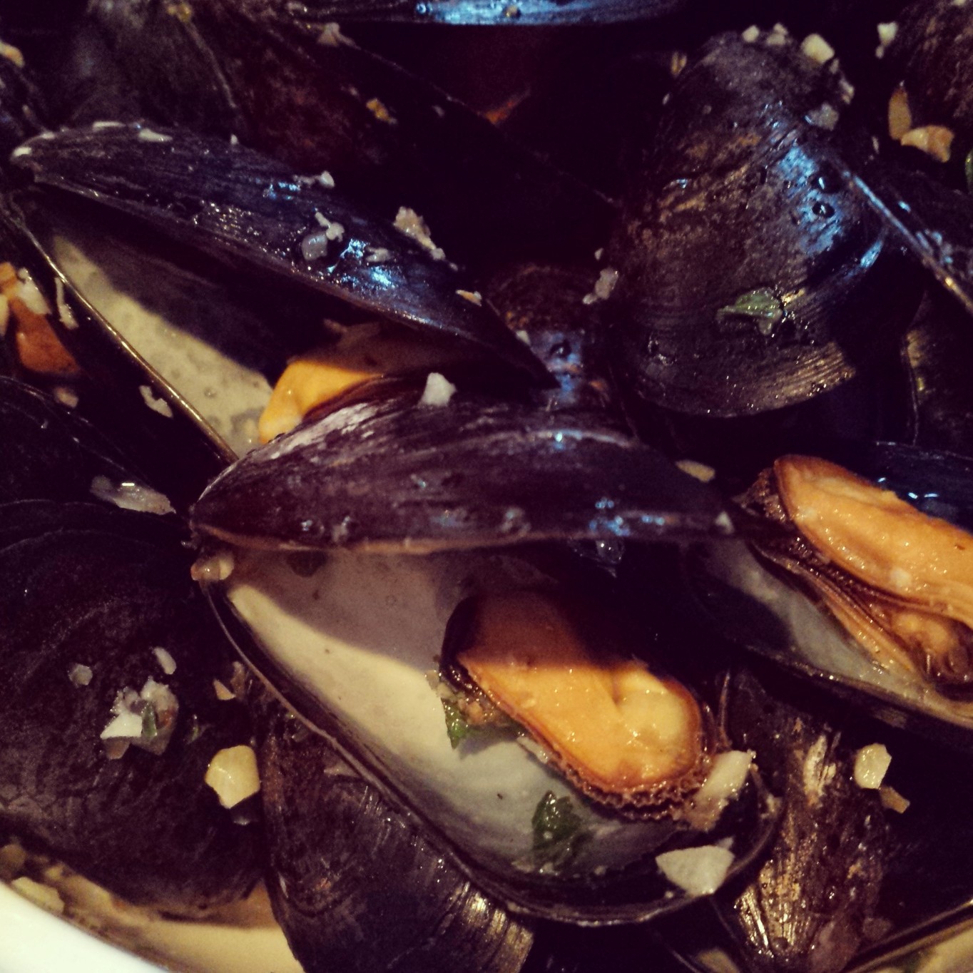 Mussels In Love - Food Junkie Chronicles