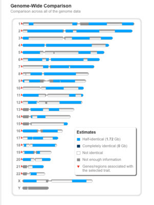 Your Genetic Genealogist: AncestryDNA: Confusing Relationship ...