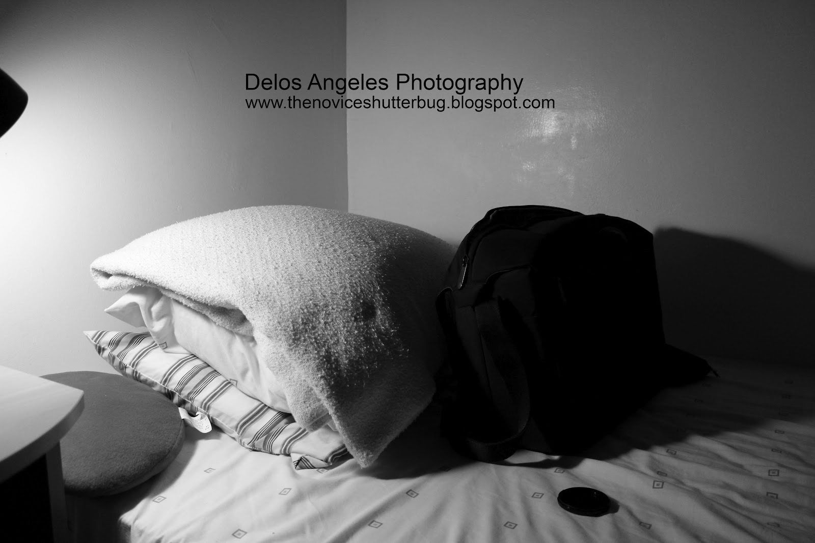 The Novice Shutterbug: Black & White Experiment