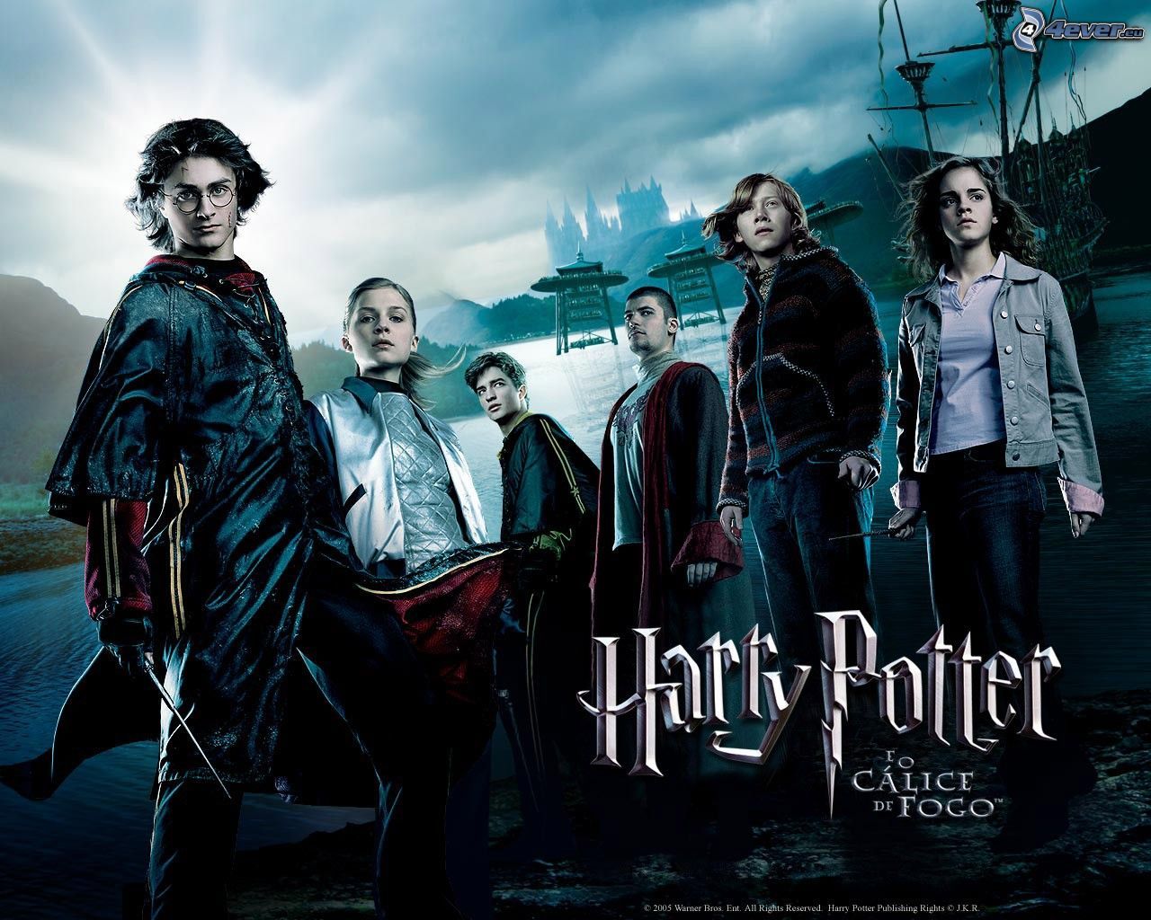 Harry Potter: Harry Potter - diely