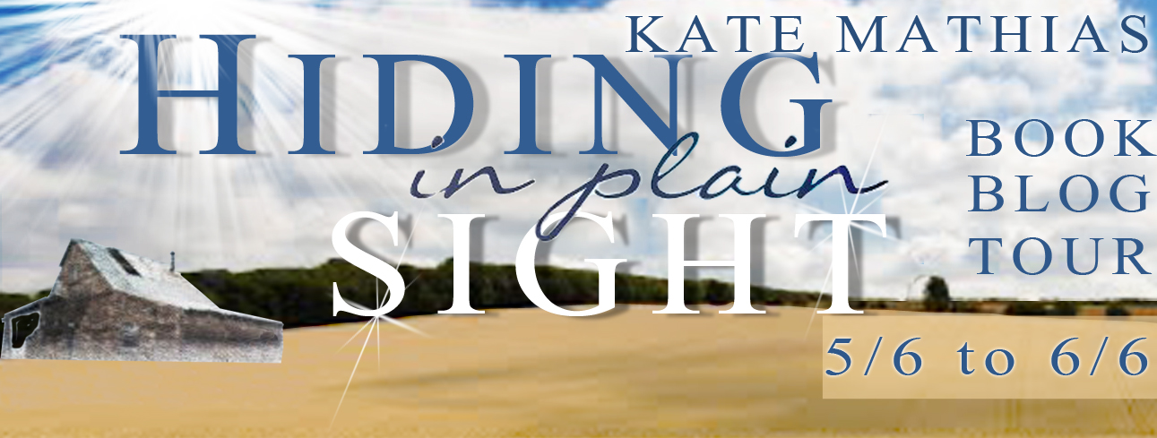 Sugar and Spice Book Reviews: Hiding in Plain Sight by Kate Mathias ...