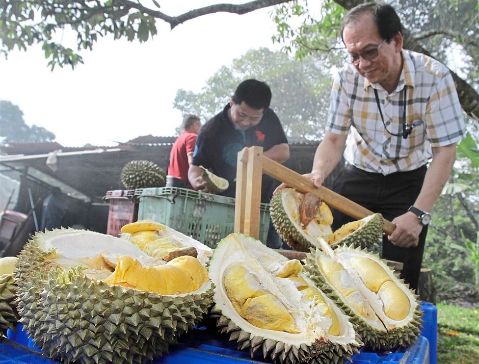 Durian Info: Durian Ambassadors On The World Wide Web