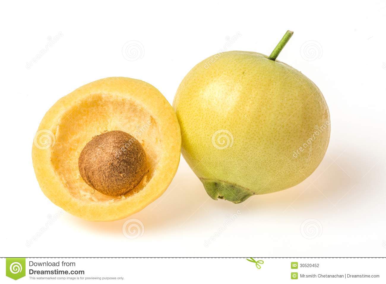 Jambo - Syzygium jambos | Natureza Bela