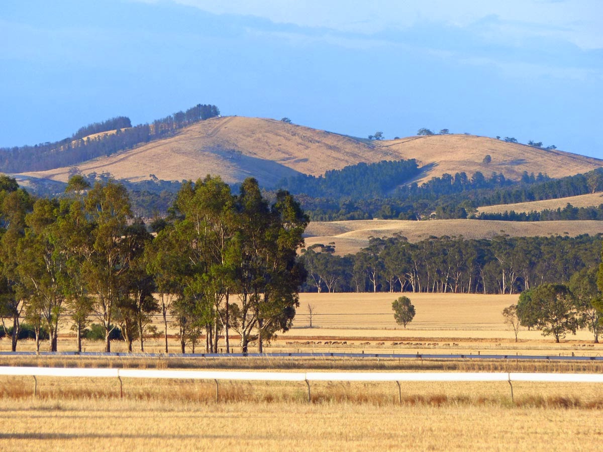 Biking Australia: Wine Country - Clare Valley