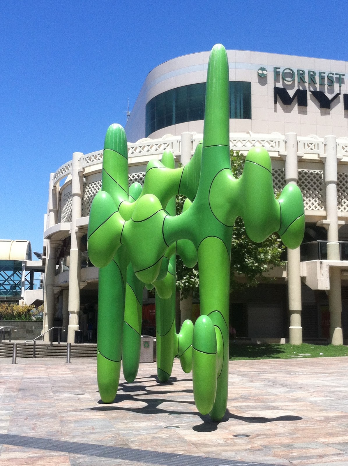 Tucson Daily Photo ~: Big Green Cactus - from Down Under!