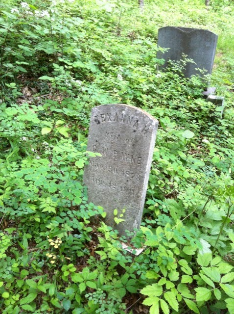 Hawksbill Cabin: Piney Branch - Piney Ridge Trail: a 75@75 Hike (part 2)