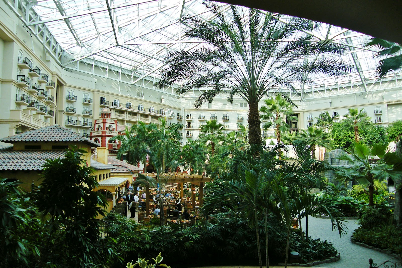 artteajannell: Gaylord Palms, Orlando
