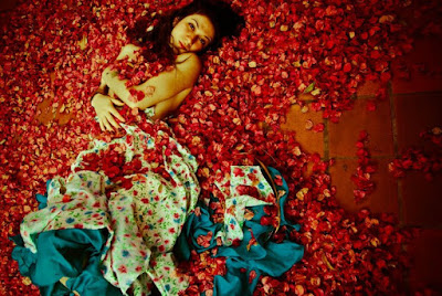 Book of Dreams: Laura Cella: Disfraces y Retratos