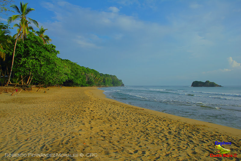 Playa Cocles de Limón | Explore Costa Rica