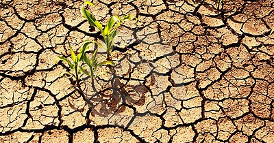 Partituras Musicais: Terra Seca - EP Terra Seca - Fraternidade São João ...