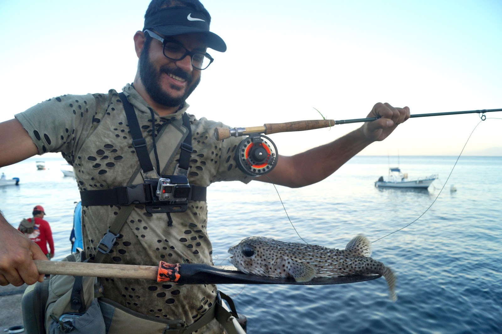 Puffer fish on the fly fishing
