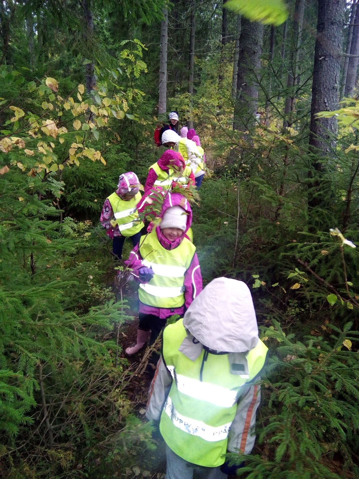 Roheline Kool Eestis Tallinna Tuule Lasteaed: Lapsed Tädu metsas