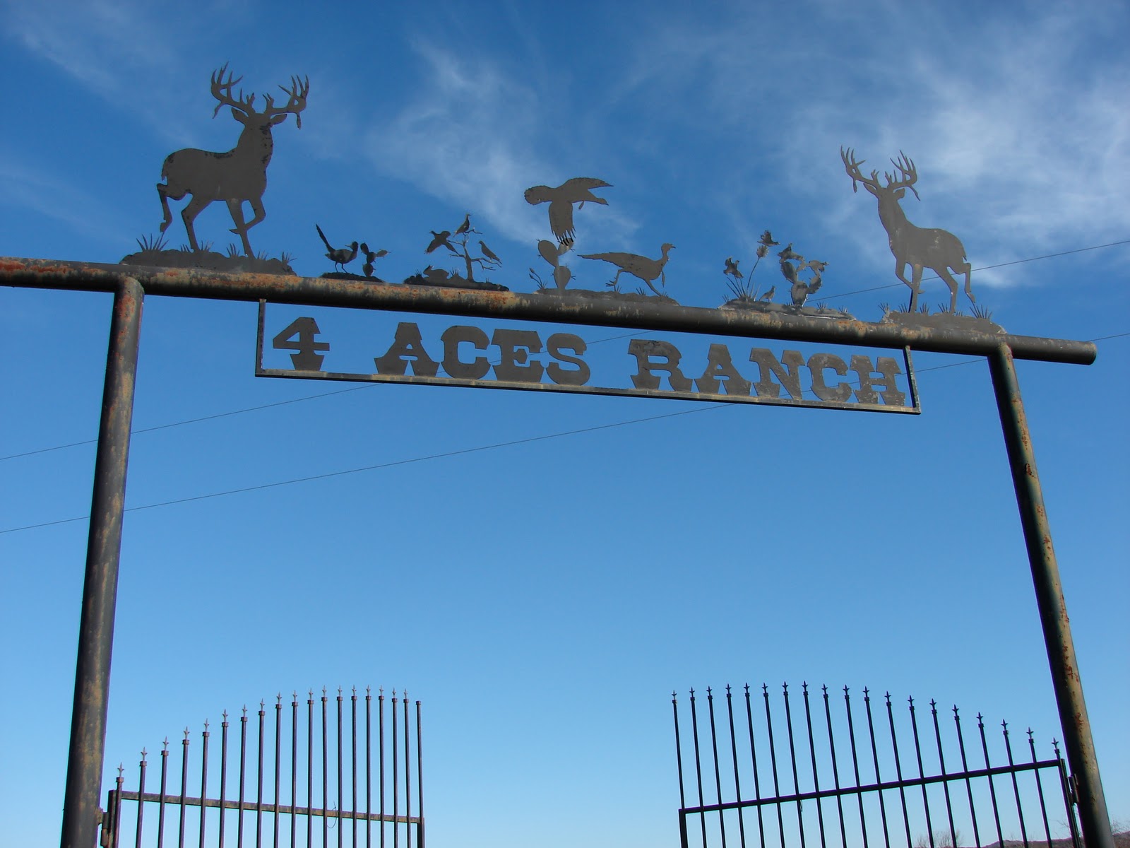 Life As Kaci Knows It: Hunting Trip: 4 Aces Ranch