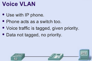 Voice VLAN - CCNA Voice lab
